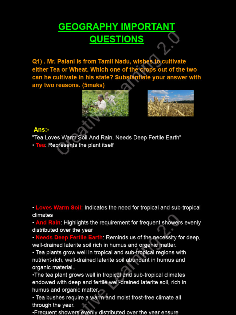 Geography Important Questions | PDF