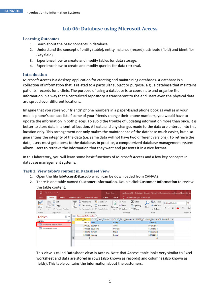 Lab06 Access Manual | PDF