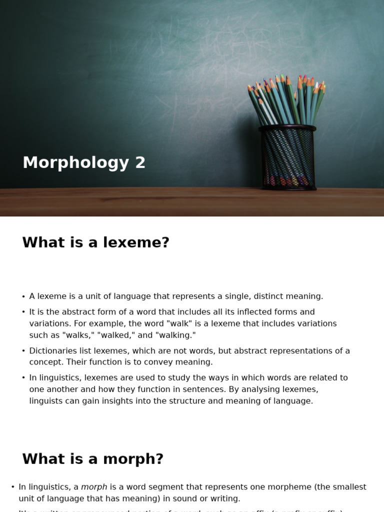 Morphology 2 | PDF
