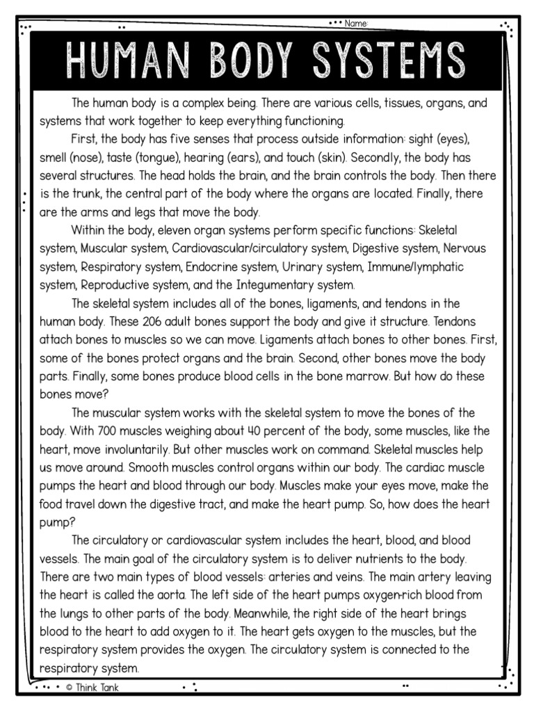 Jadarius Tymes - Human Body Systems Worksheet | PDF