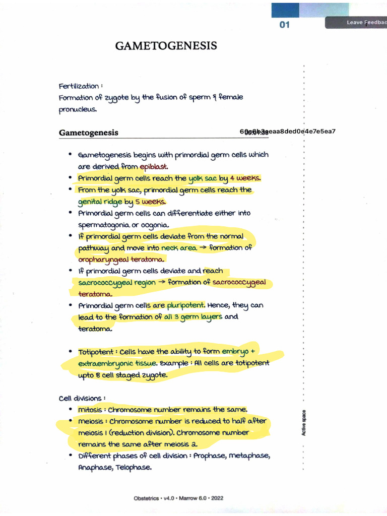 Obstetrics E6 @marrow - Edition | PDF