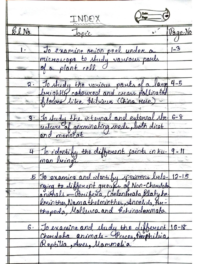 Class 9 Biology Project | PDF