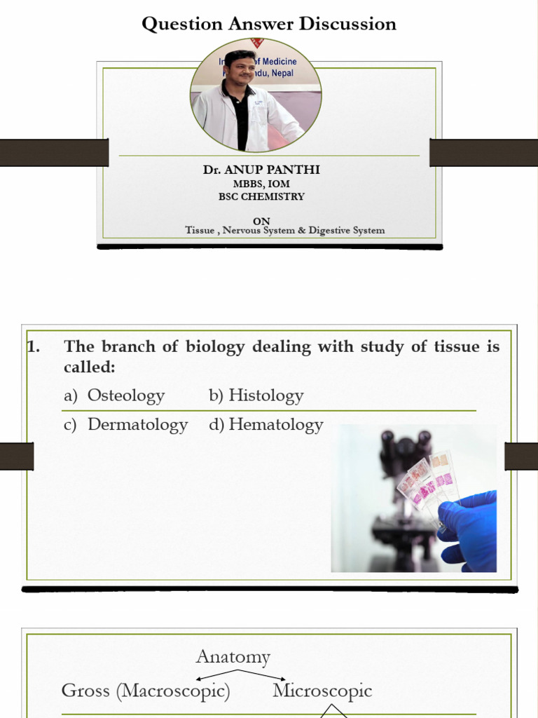 ZAP Zoology | PDF | Epithelium | Axon