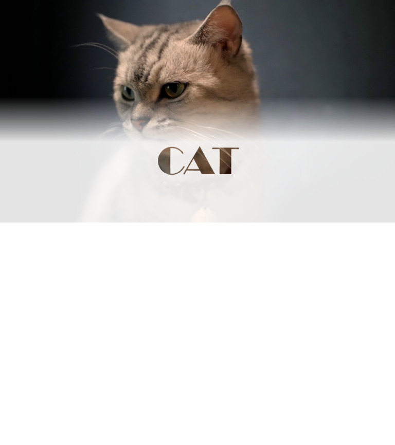 Cat | PDF