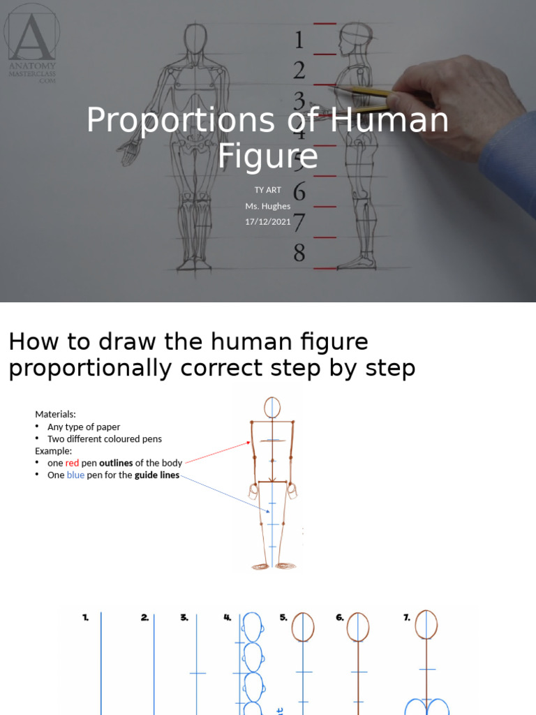 Proportions of Human Figure | PDF