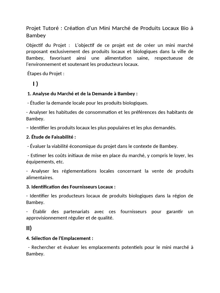 Exemple de Plan de Projet | PDF