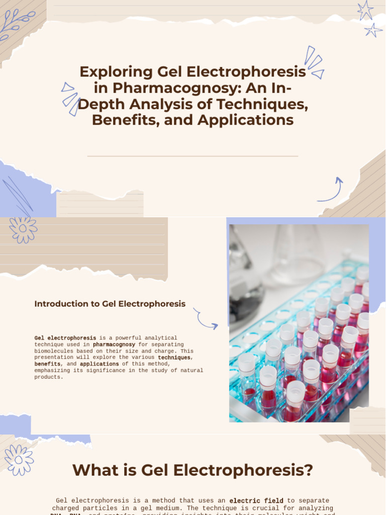 Slidesgo Exploring Gel Electrophoresis in Pharmacognosy An in Depth ... Slidesgo Exploring Gel Electrophoresis in Pharmacognosy An in Depth ...