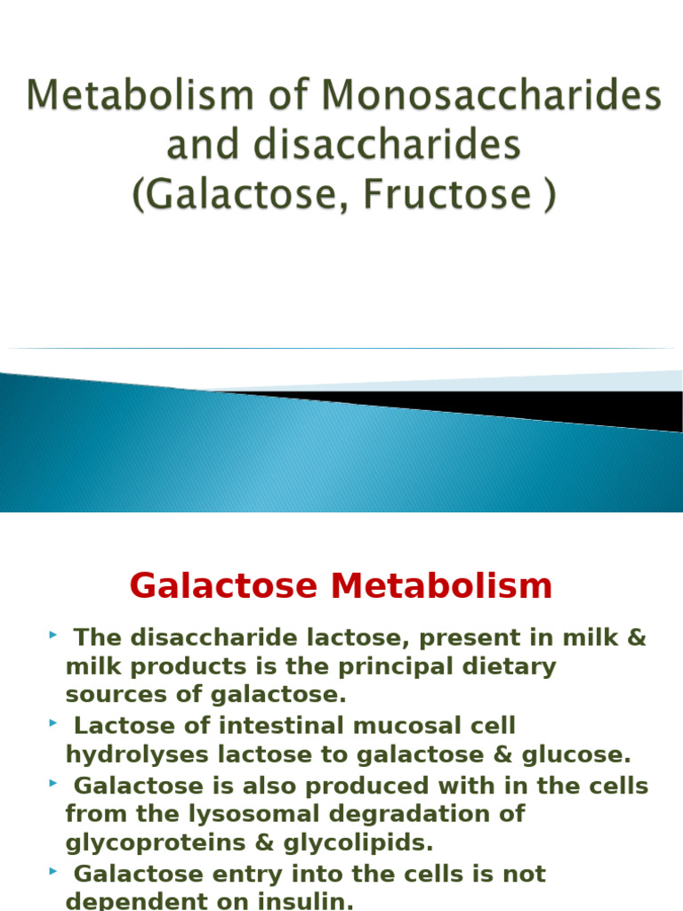 Galactose and Fructose Metabolism | PDF