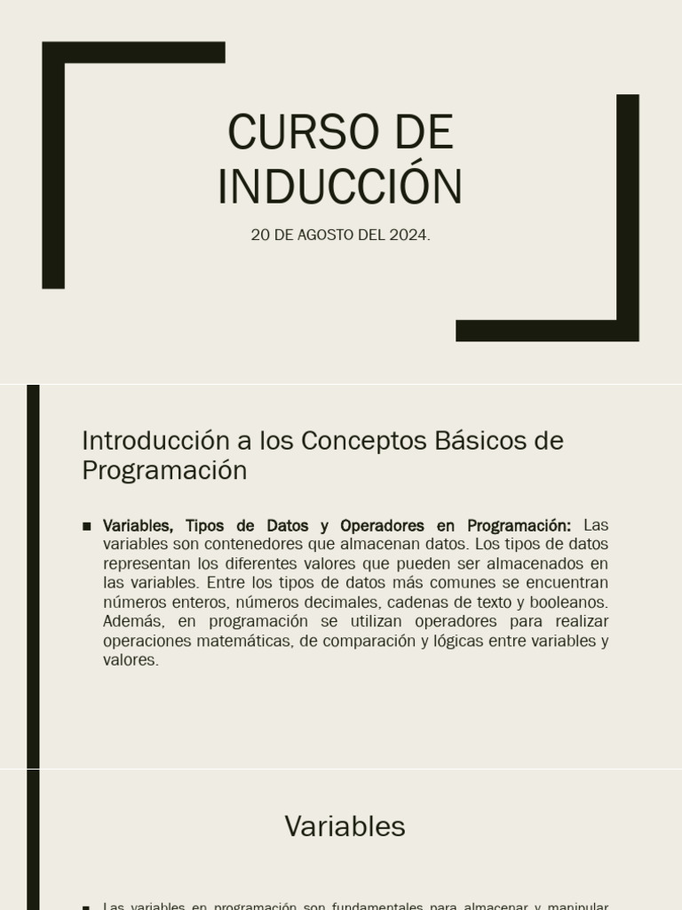 Curso de Inducción Introduccion A La Programación | PDF | Tipo de datos ...