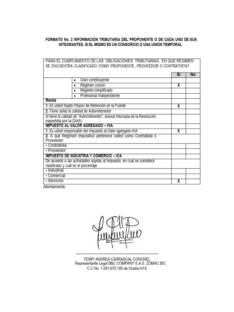 2.informacion Tributaria Del Proponente | PDF