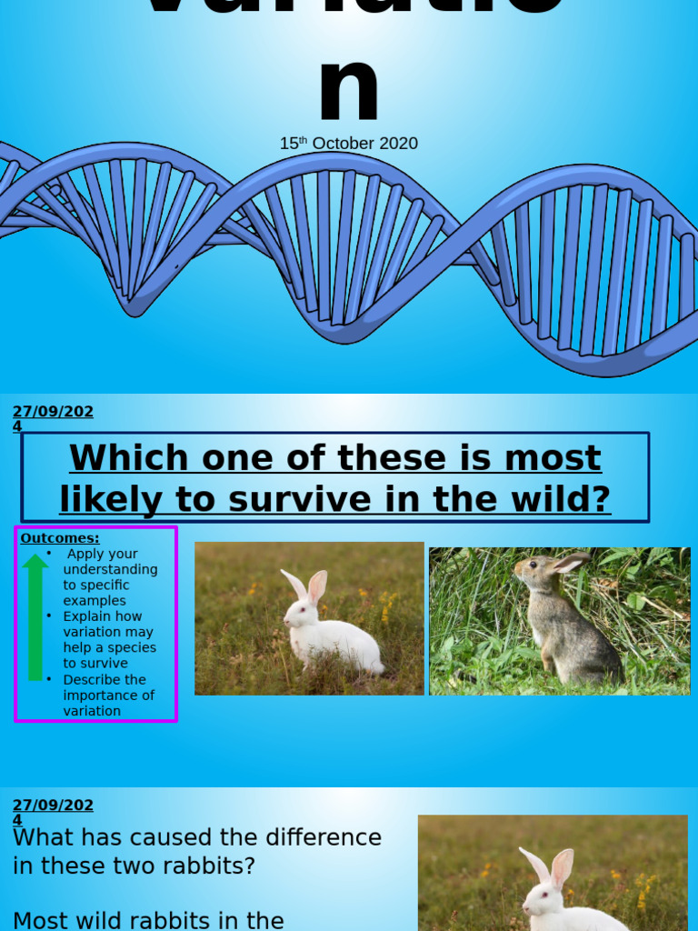 7B Importance of Variation | PDF
