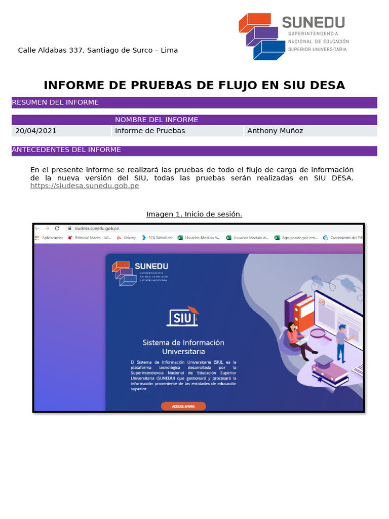 Informe de Pruebas de Flujo en SIUDESA | PDF