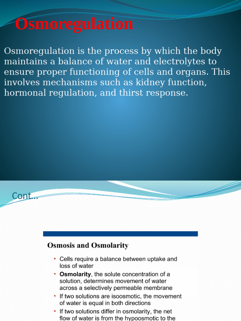 Osmoregulation | PDF