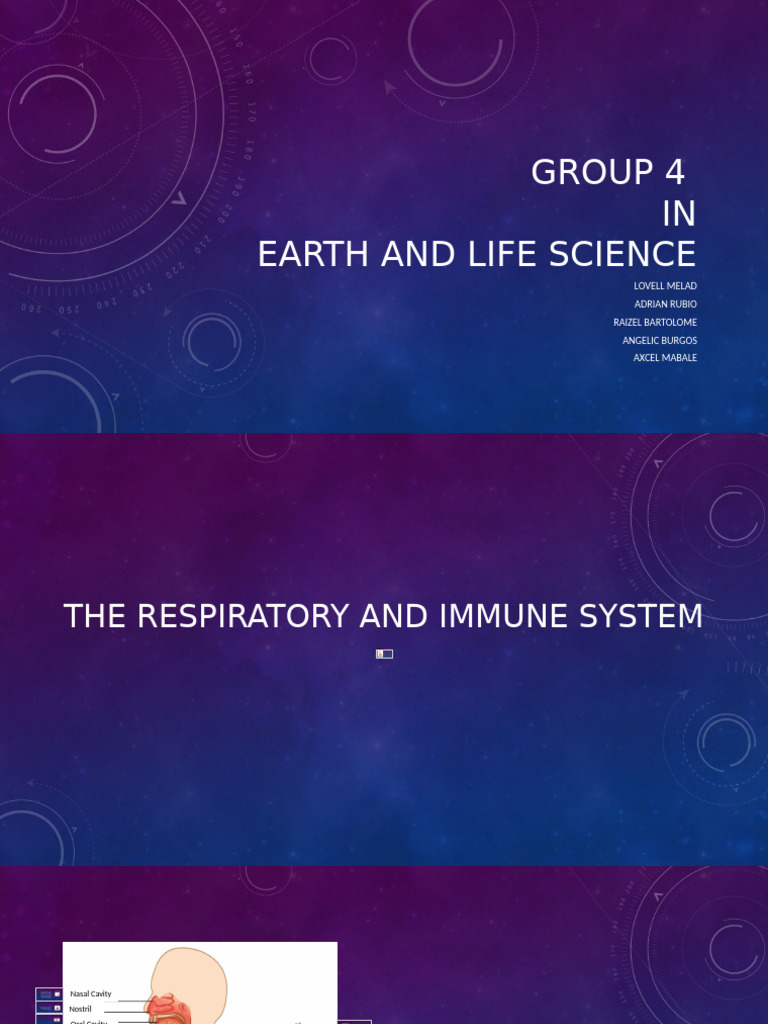 Elscie Awit Yan | PDF