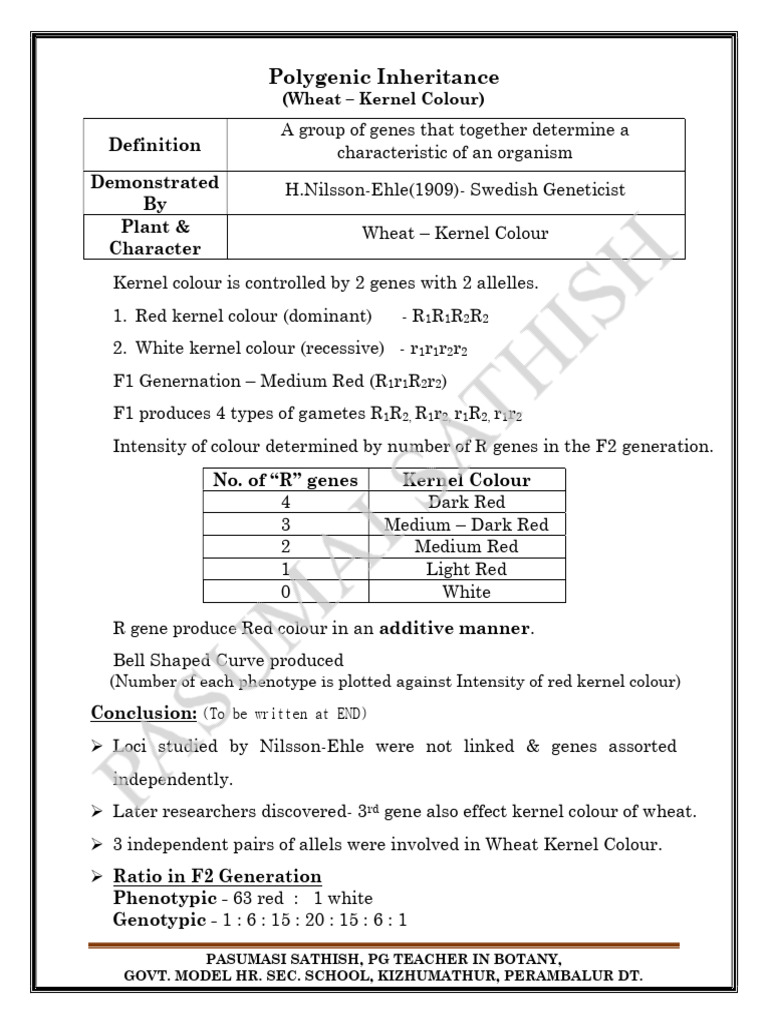 +2 UNIT-2 Polygenic Inheritance | PDF
