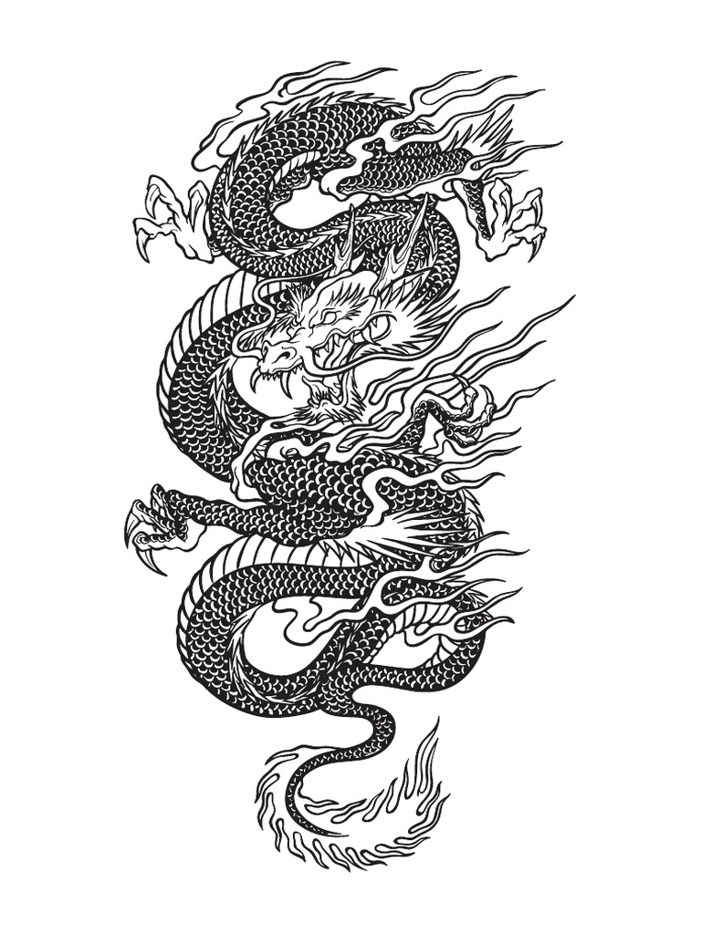 DRAGON | PDF