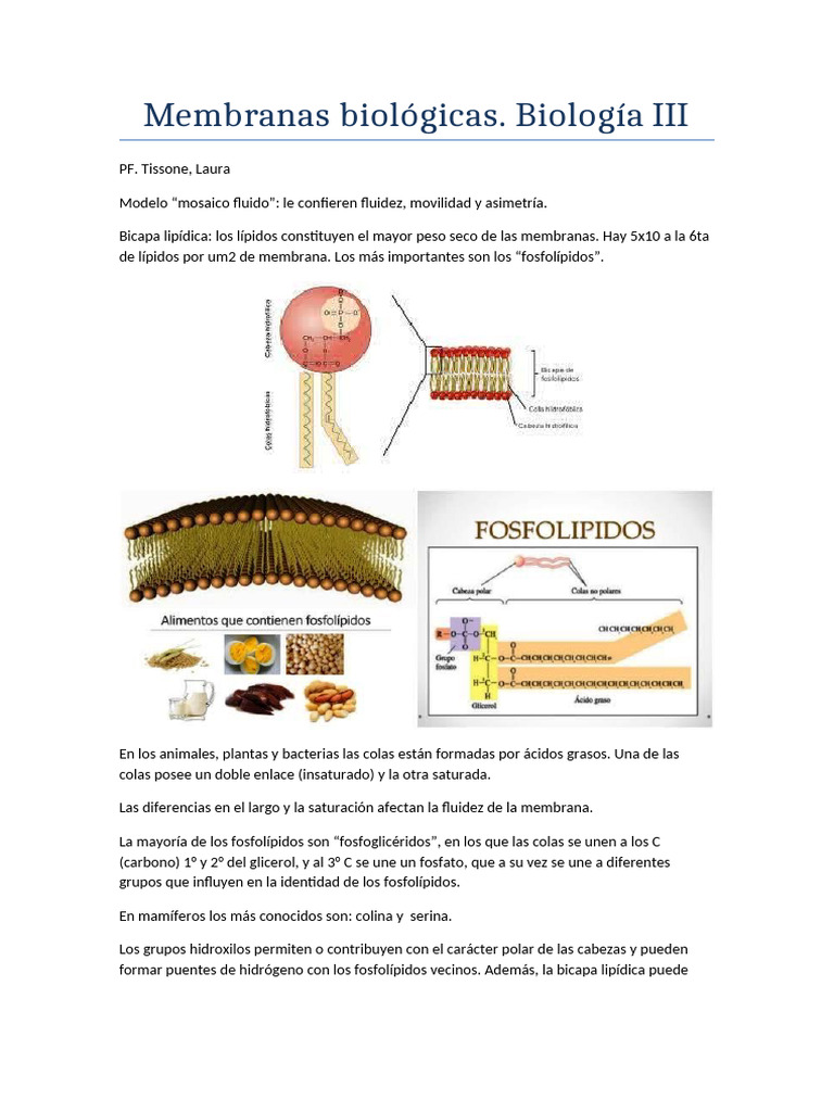 Membranas Biológicas | PDF