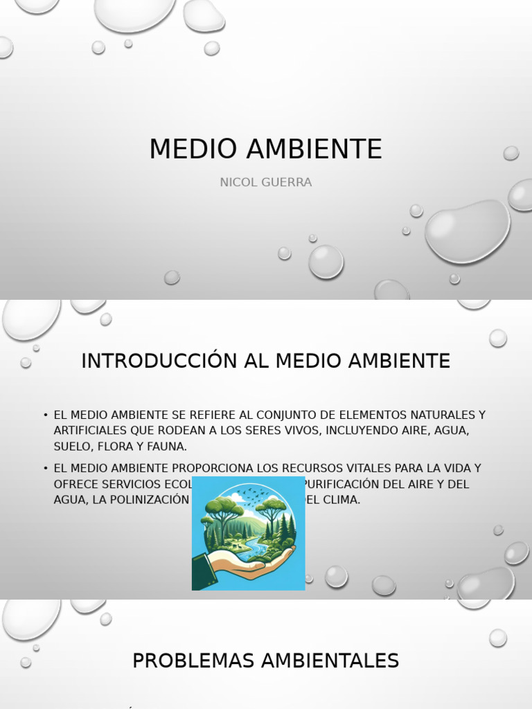 Problemas y conservación del medio ambiente | PDF