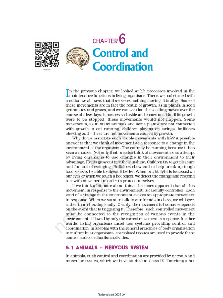 Control & Coordination - Nerve + Brain | PDF