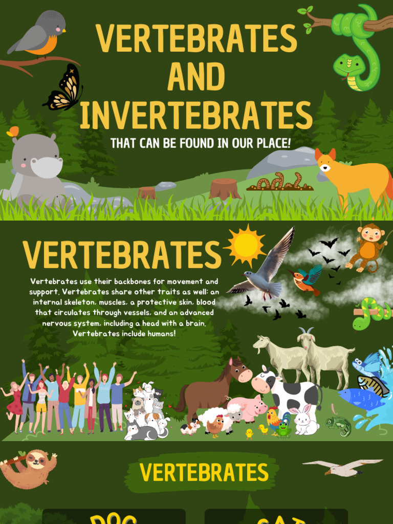 Vertebrates and Invertebrates | PDF