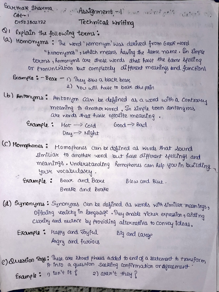 Technical Writing Assignment | PDF