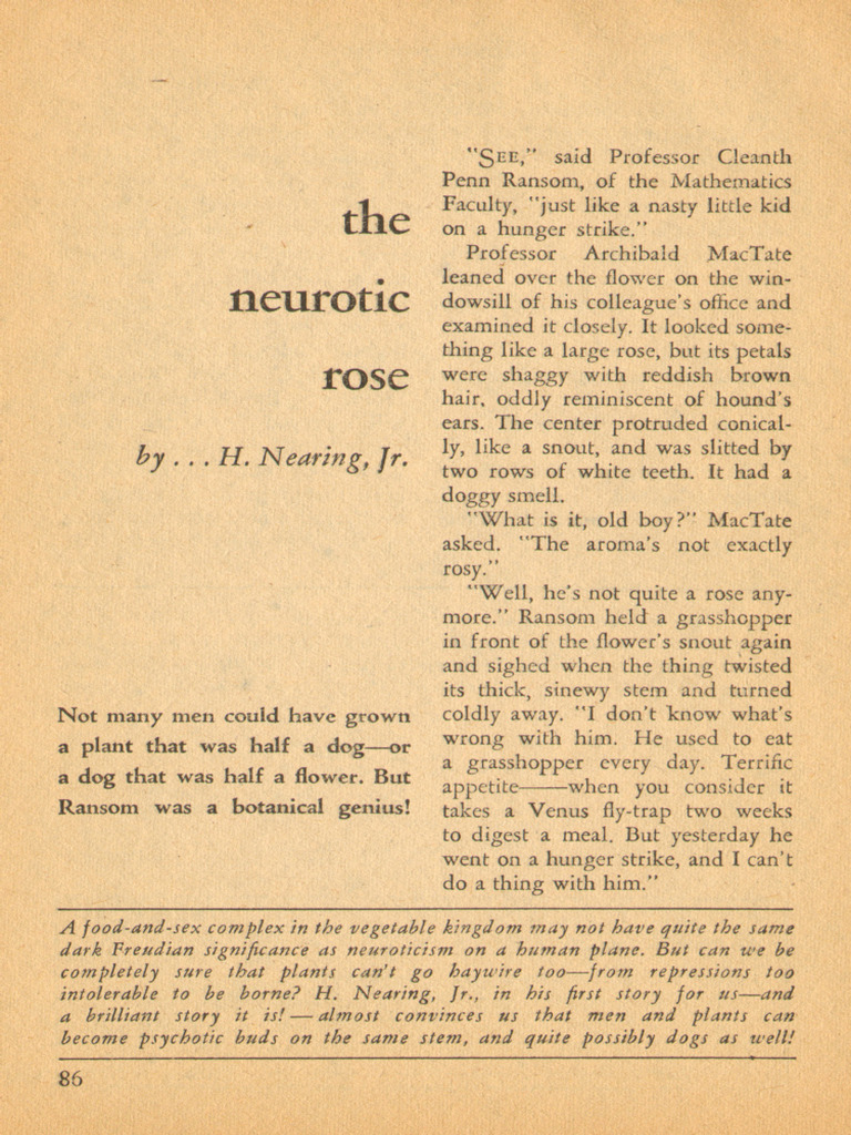 Nearing Homer - The Neurotic Rose | PDF