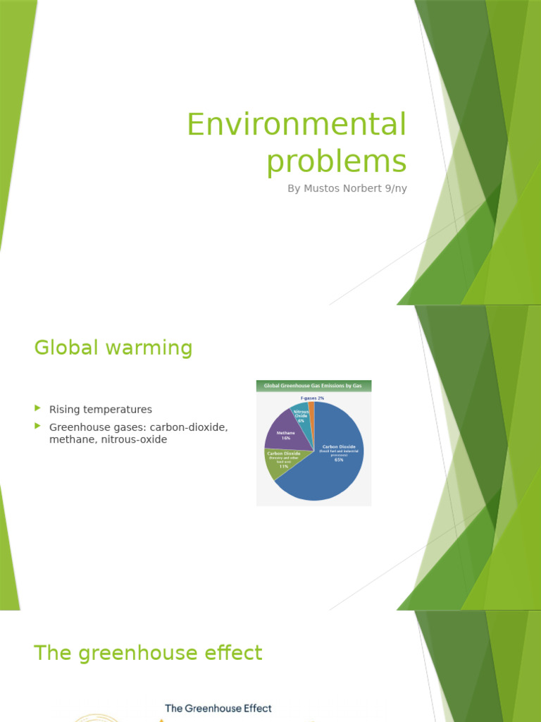 Environmental Problems | PDF