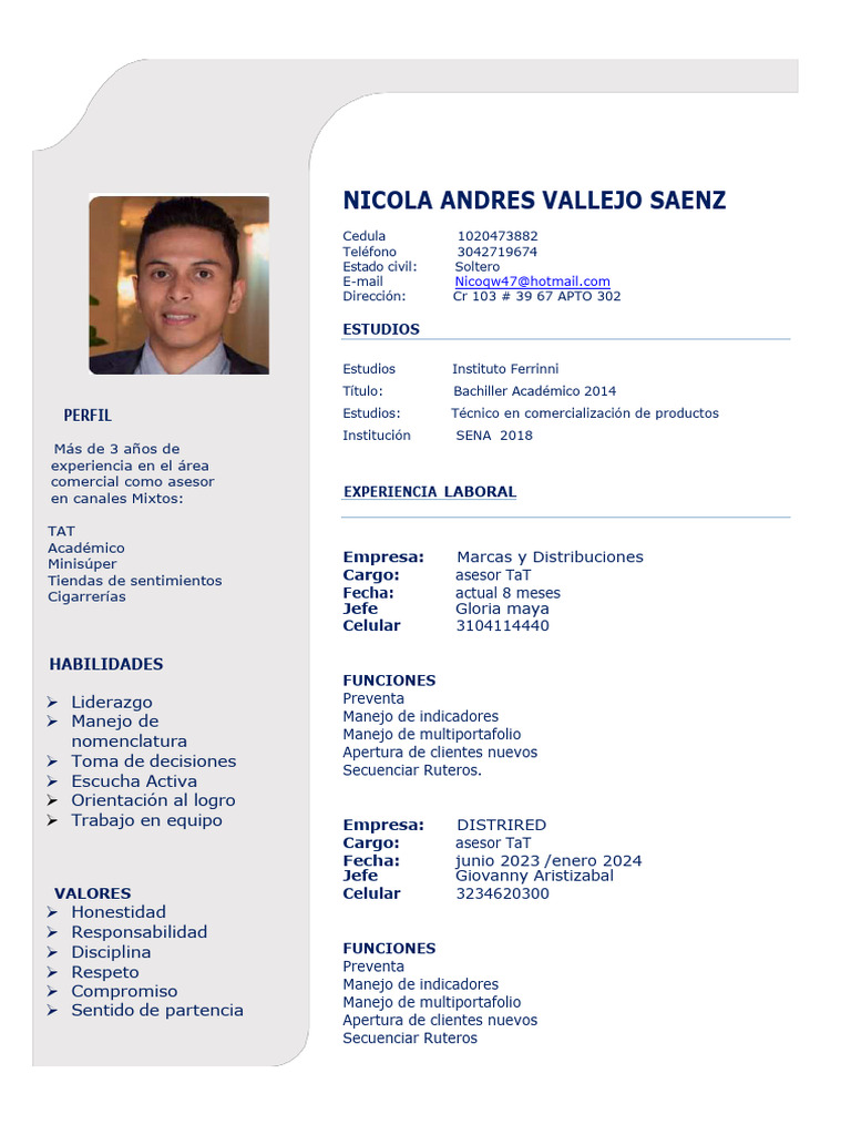 HOJA DE VIDA ANDRES VALLEJO (1) | PDF