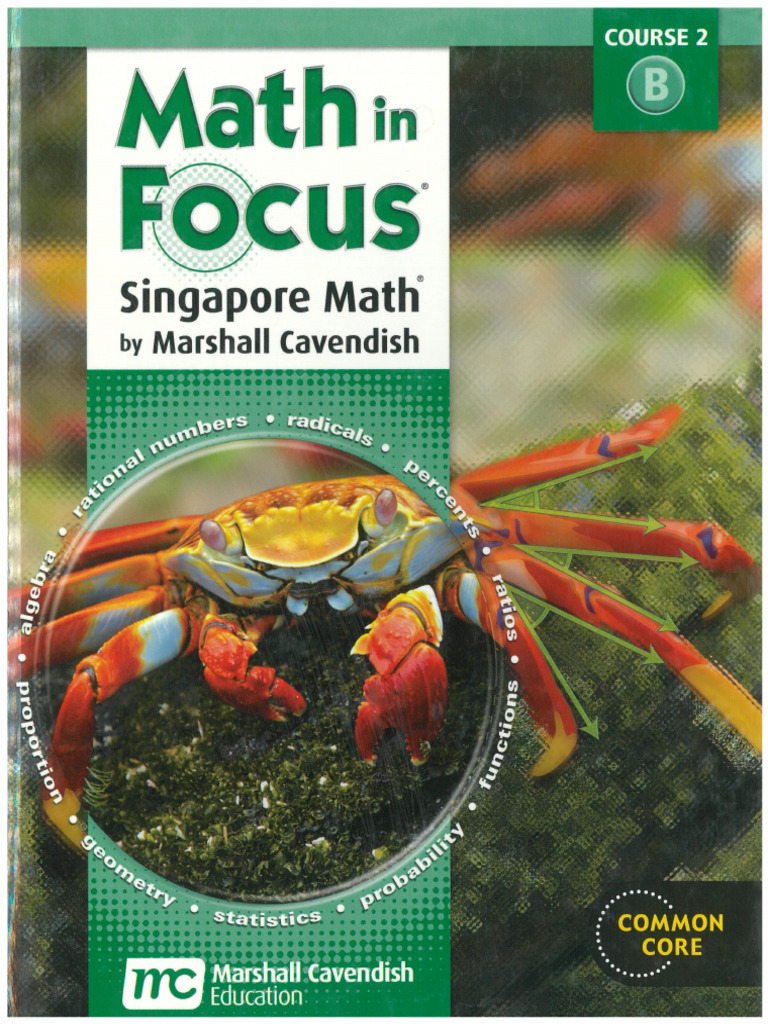 Math in Focus Course2B | PDF