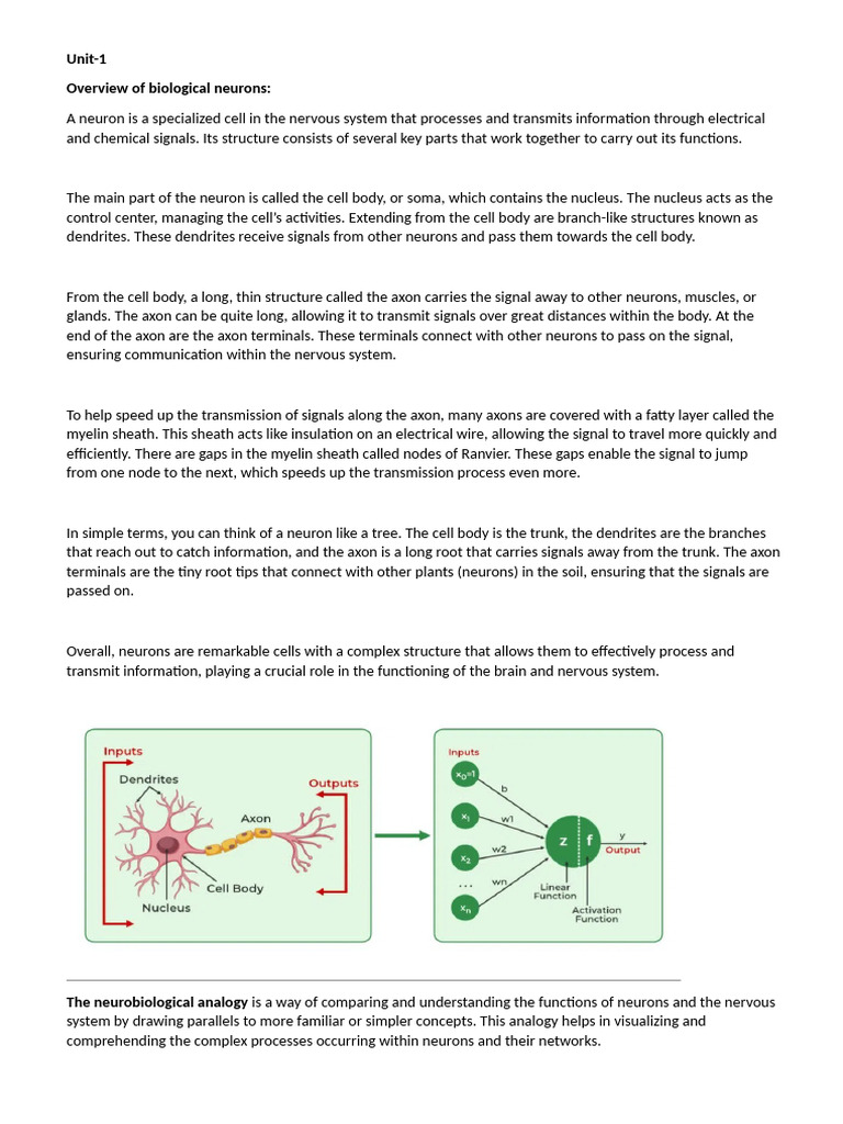 A Neuron Is A Specialized Cell in The Nervous System That Processes and ...