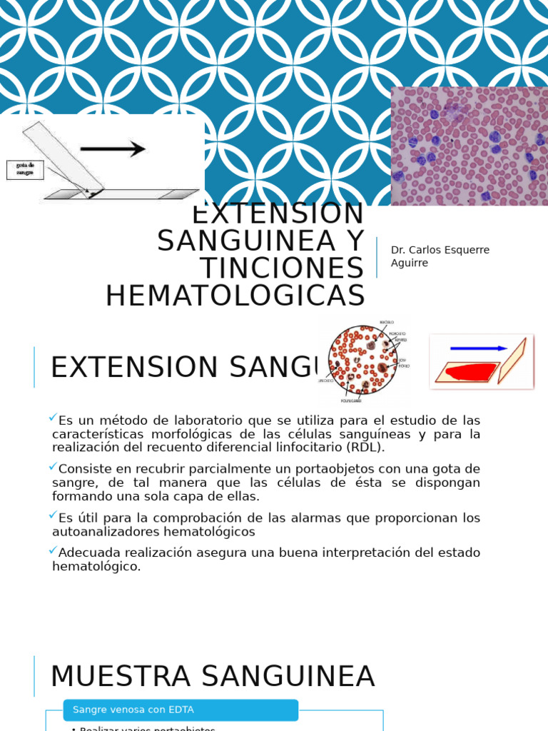 Extension Sanguinea y Coloraciones | PDF