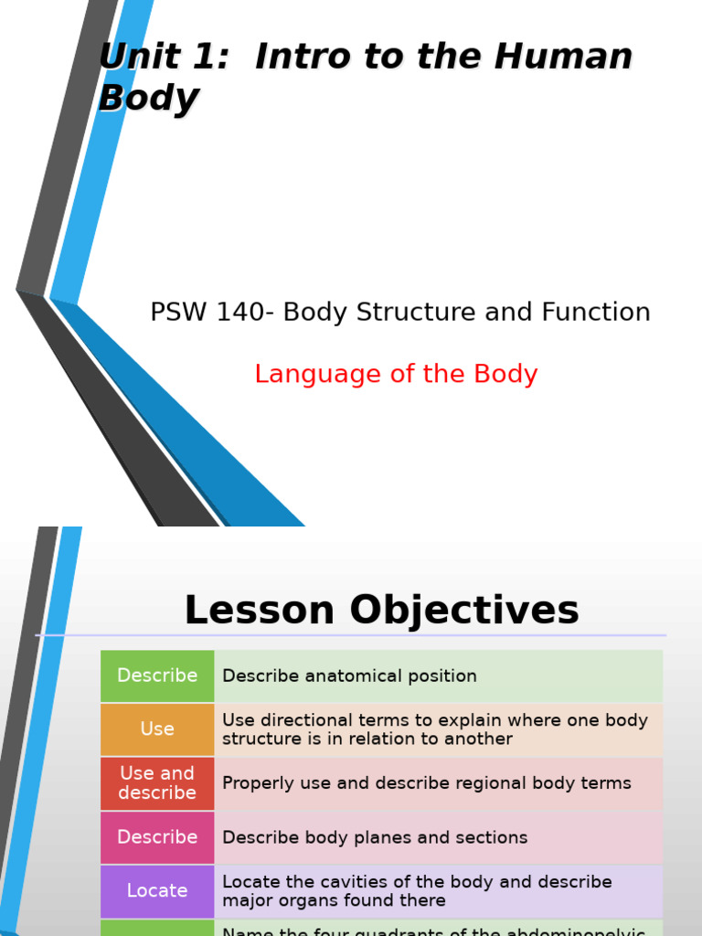 Language of Anatomy | PDF