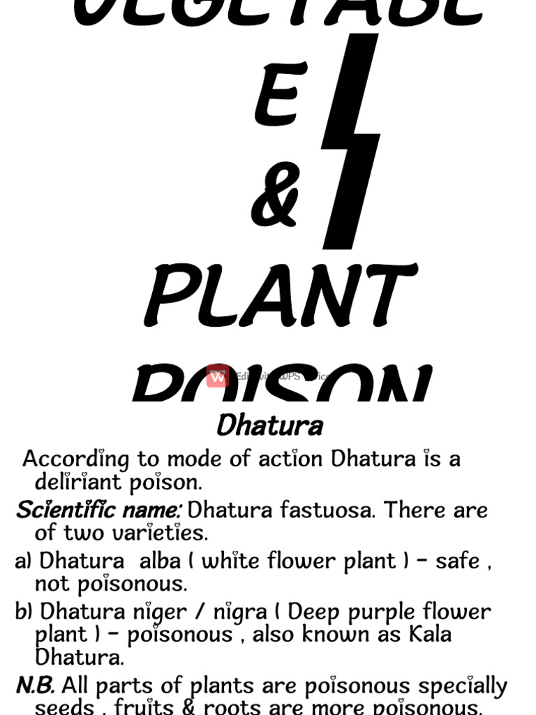 Plant & Vegetable Poison (2) | PDF