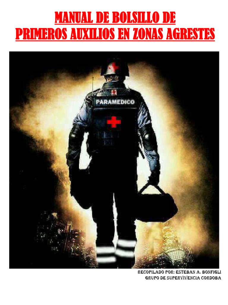 Micro Manual de PA | PDF