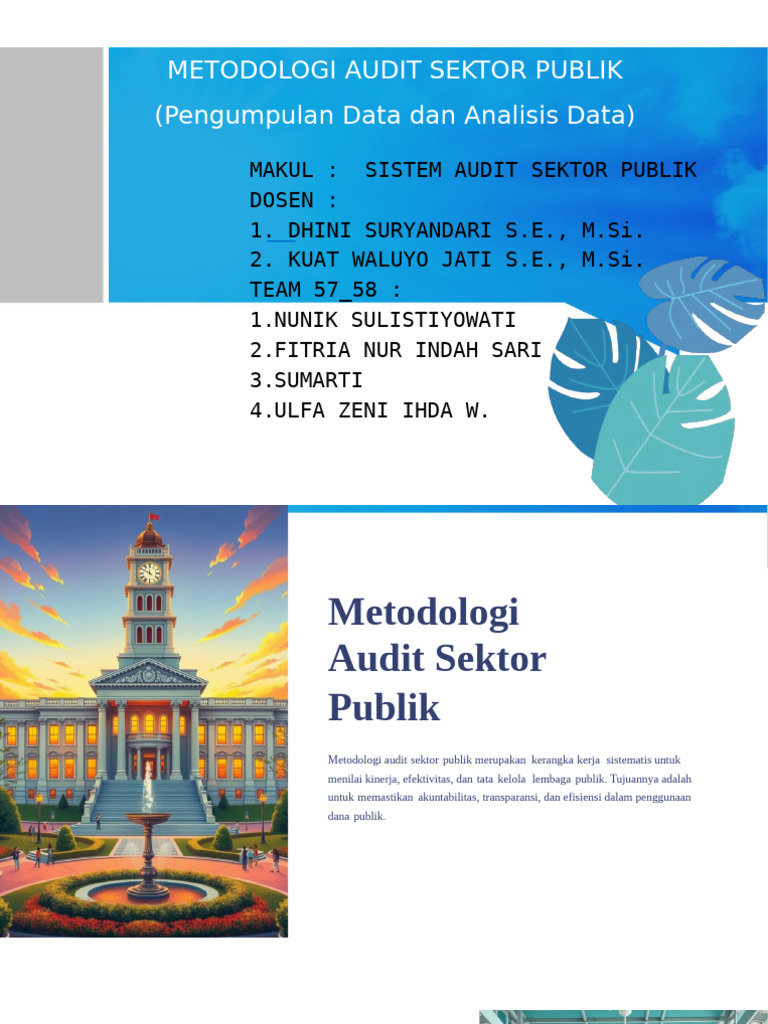 Metodologi Audit Sektor Publik | PDF