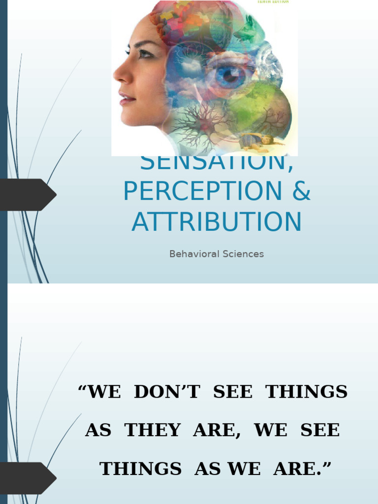 Sensation, Perception, Attribution | PDF