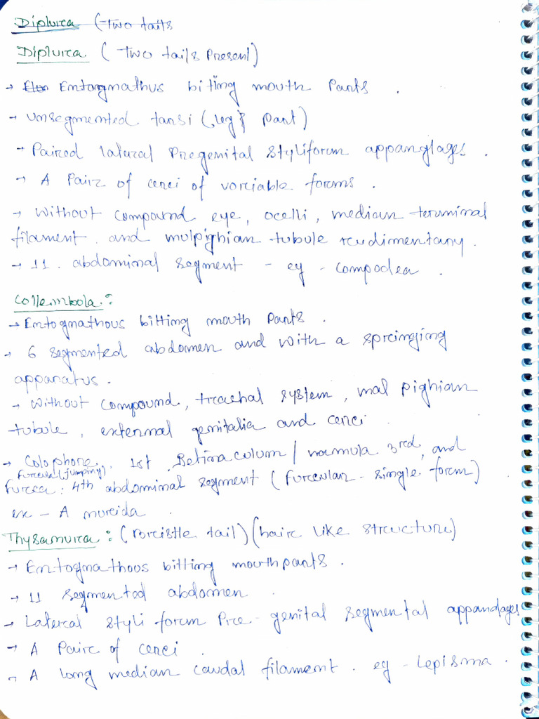 Notes On Entomology... | PDF