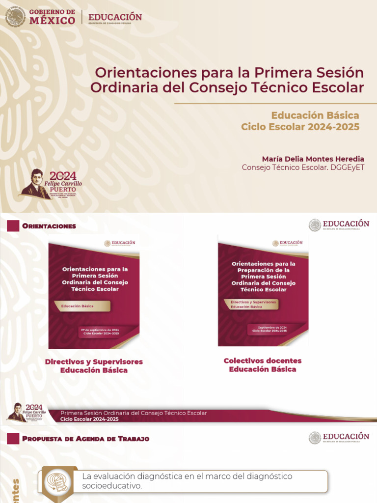 SEP 2024 CTE 1a Ord Presentacion de Orientaciones Nacionales | PDF