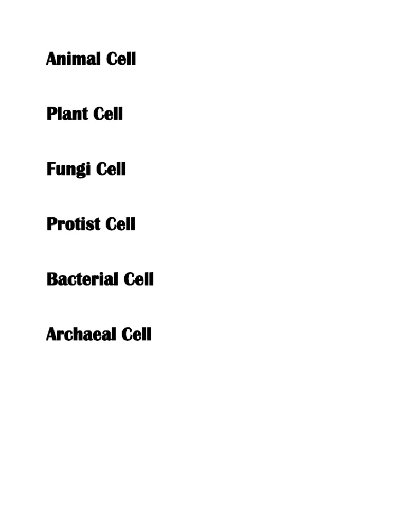 Cells | PDF