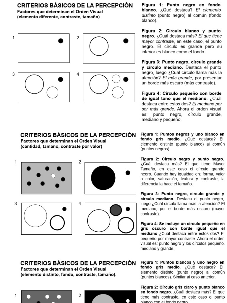 Criterios Básicos de La Percepción Visual | PDF