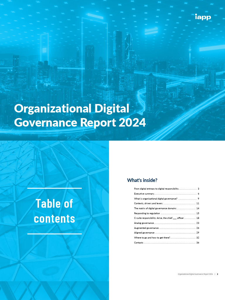Organizational Digital Governance Report | PDF