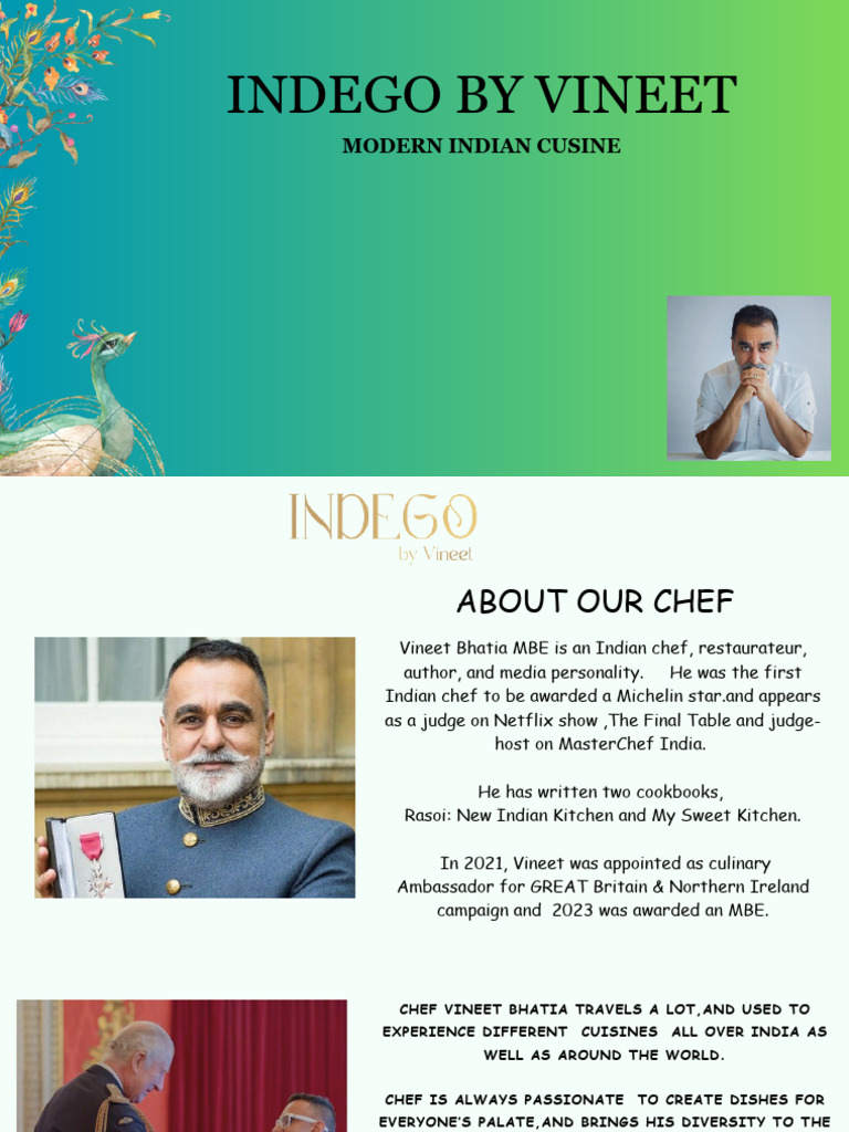 Indego by Vineet Story 2024 | PDF