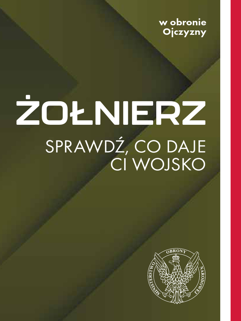 Zolnierz Internet | PDF