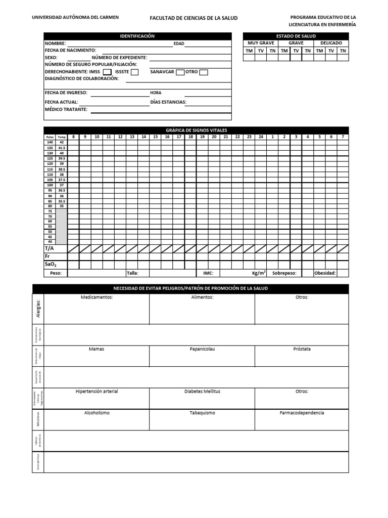 Formato de Reg. Enf. Estudiantes Versión 1 | PDF