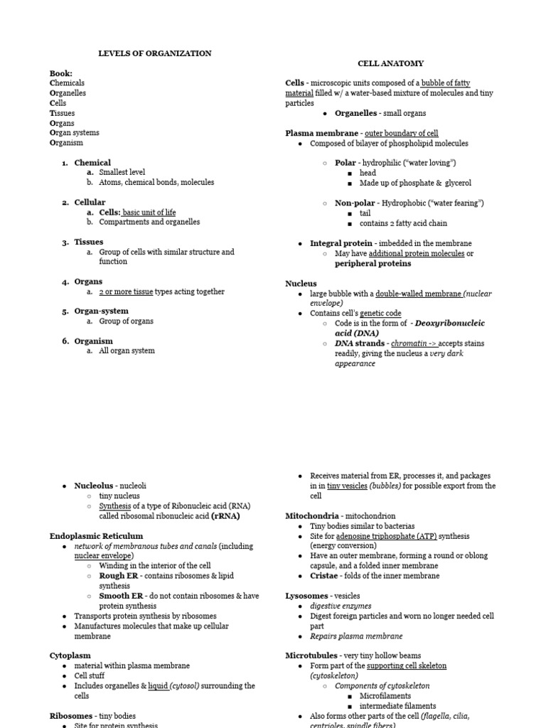 Anaphy Lab Reviewer | PDF | Connective Tissue | Epithelium
