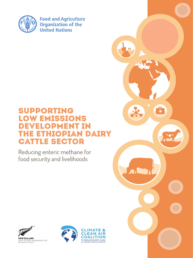 2017 - Supporting Low Emissions Development in The Ethiopian Dairy ...