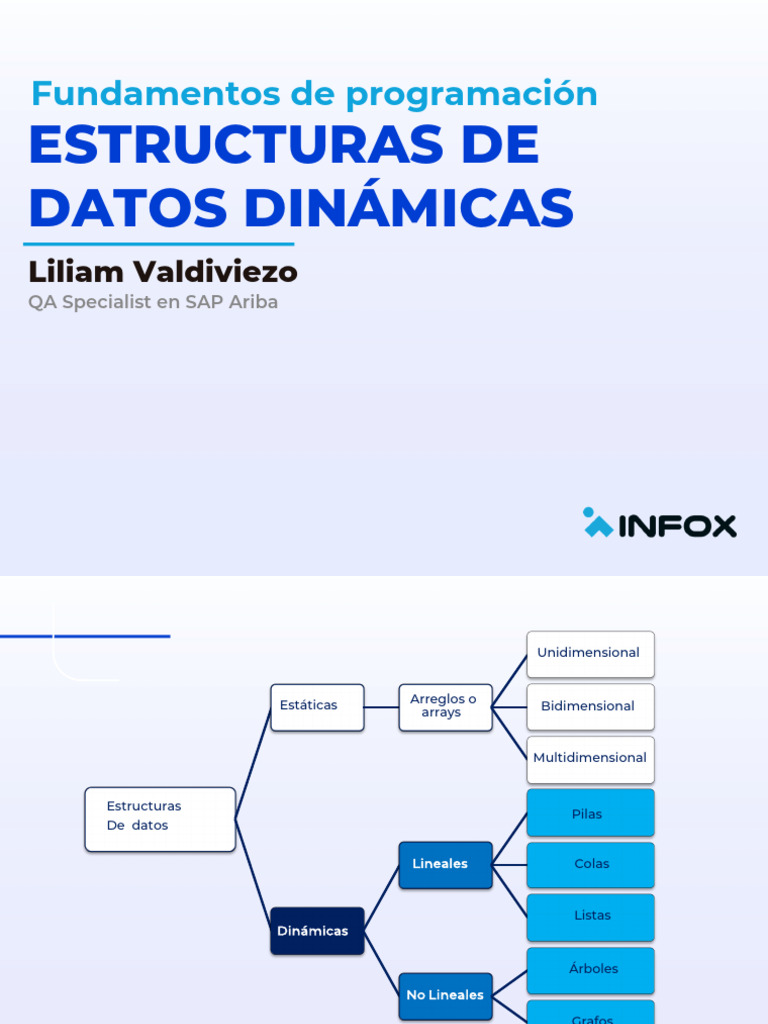 Estructuras de Datos Dinámicas | PDF