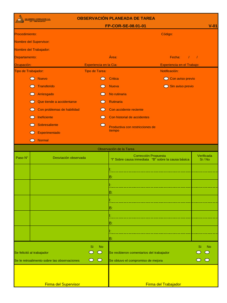 FP-COR-SE-08.01-01 Formato de OPT | PDF