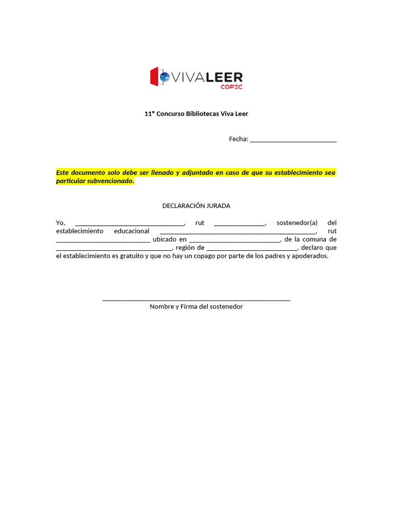 Modelo Declaracion Jurada 2024 | PDF