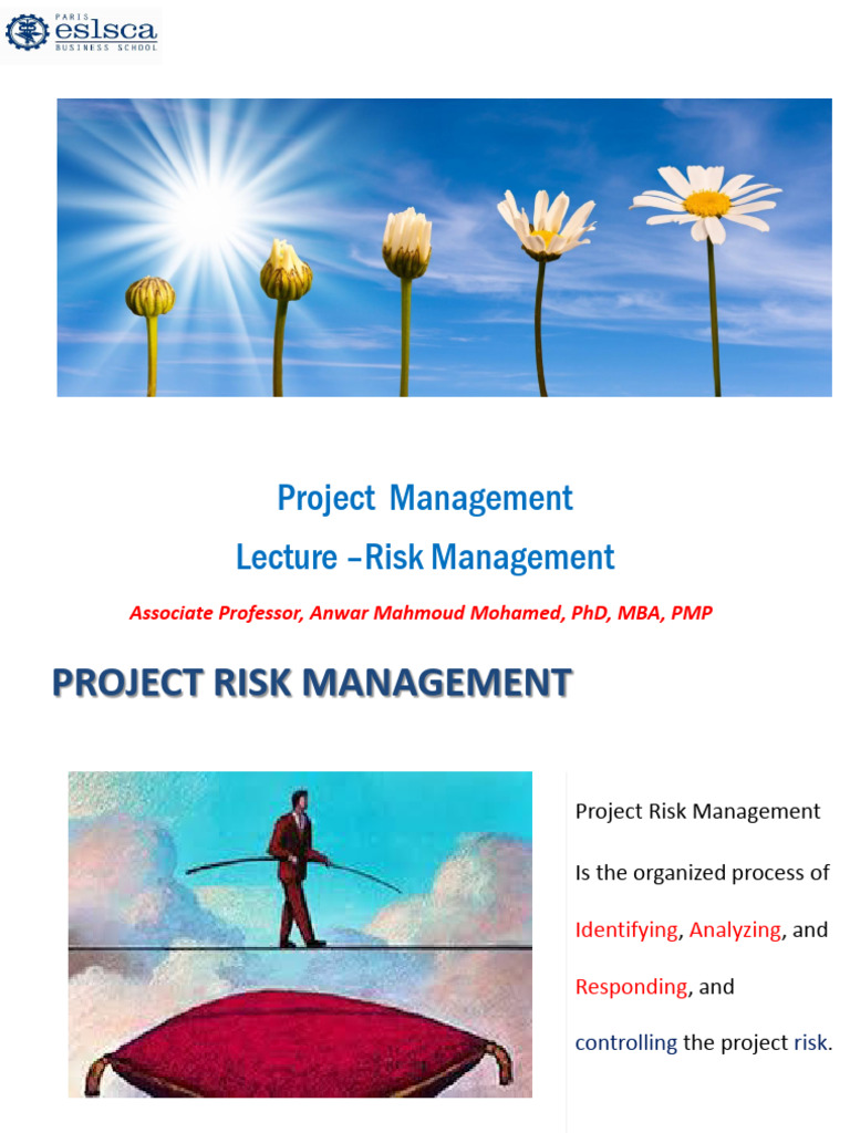 Lecture 9 Risk Management | PDF